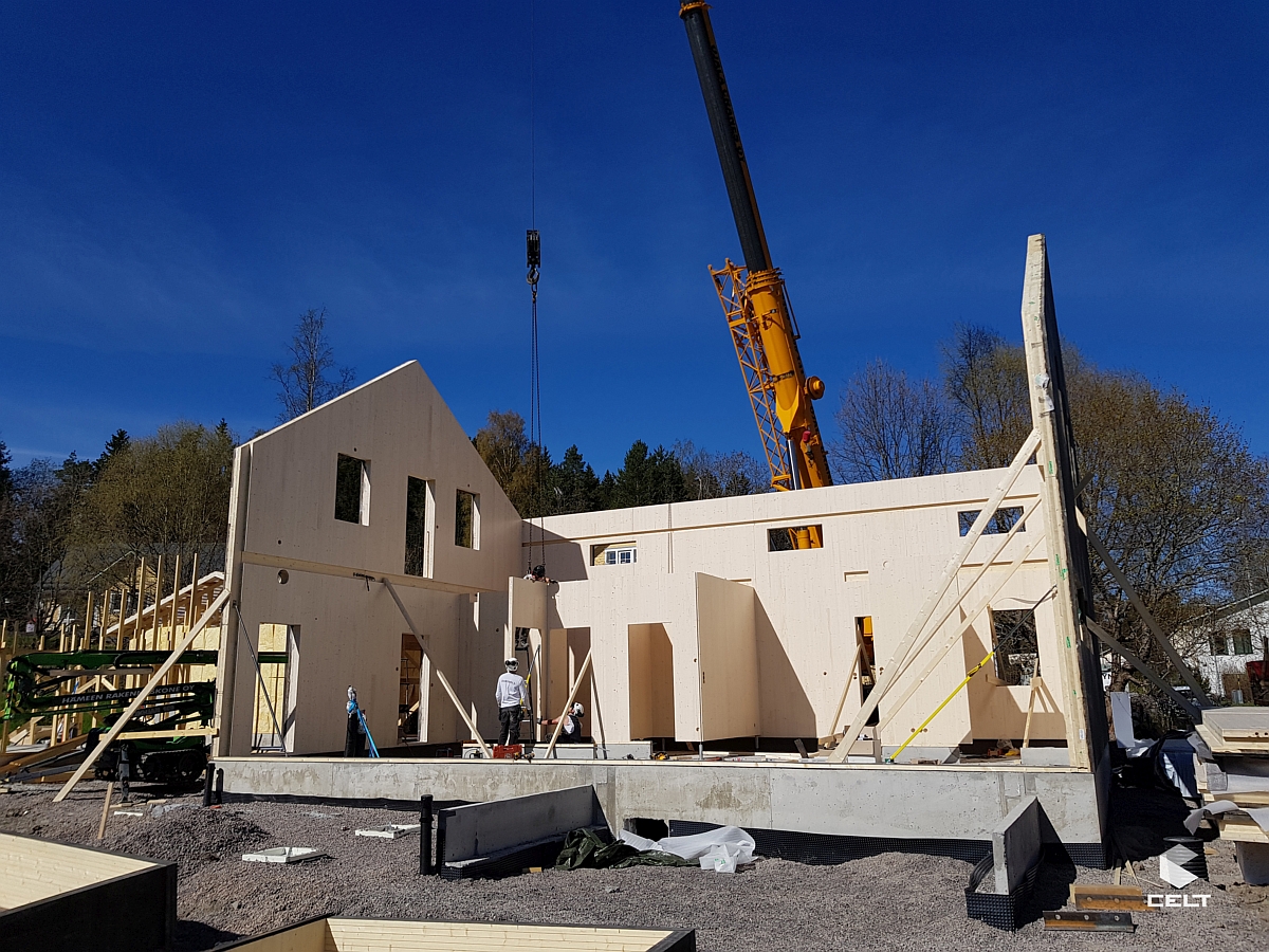 Case Study: Celt - Vertex BD Software