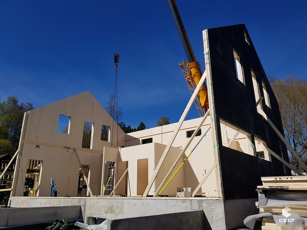 Case Study: Celt - Vertex BD Software