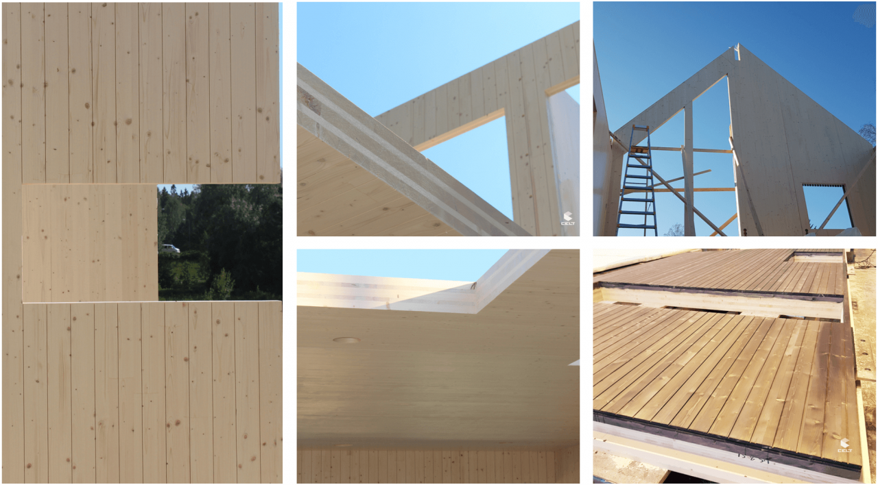 Case Study: Celt - Vertex BD Software